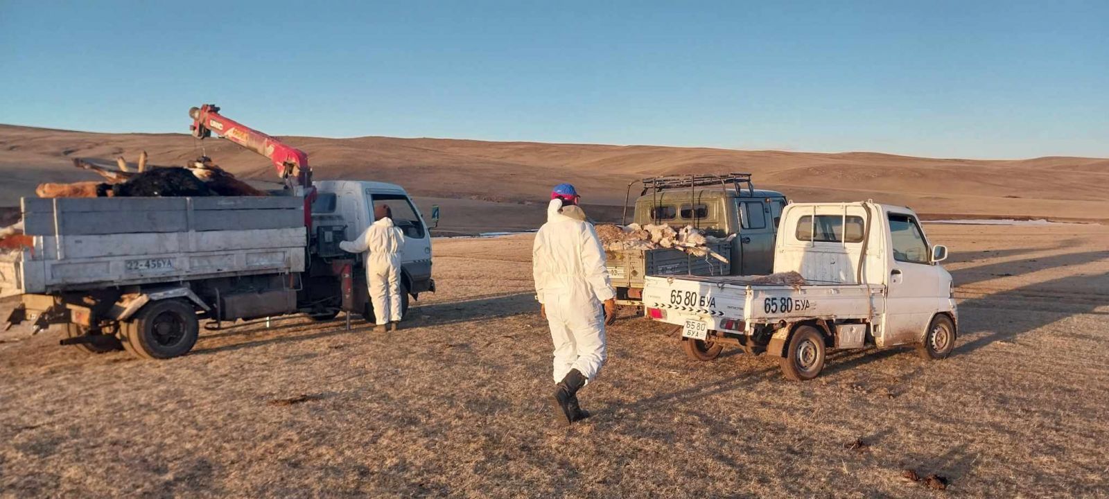 Булган аймгийн Байгаль орчны газар